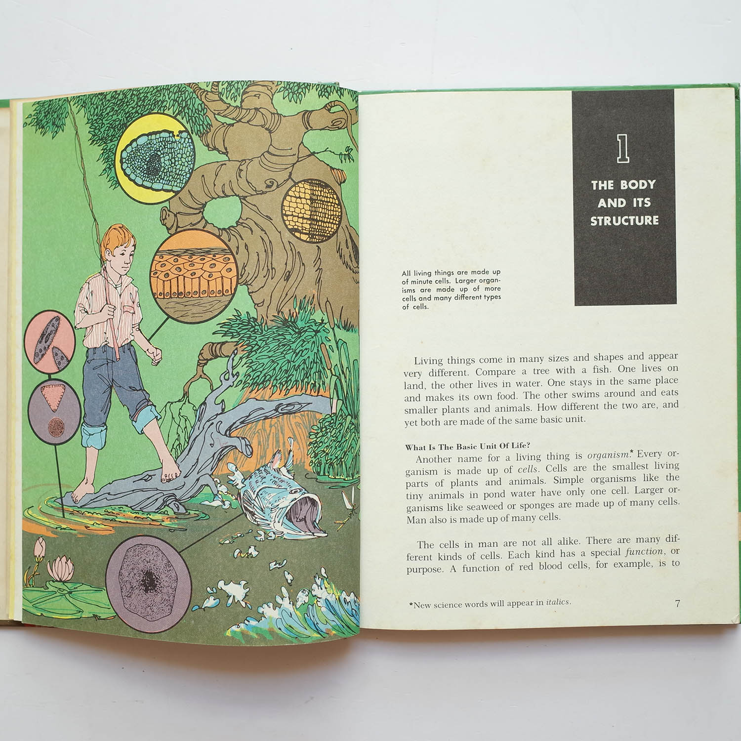 EXPLORING AND UNDERSTANDING THE HUMAN BODY – Tiệm sách Cổ Lỗ Sĩ